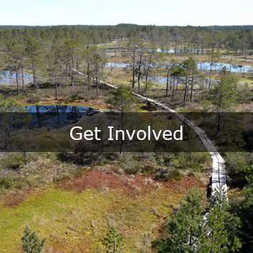 Get Involved – Wetlands Minnesota